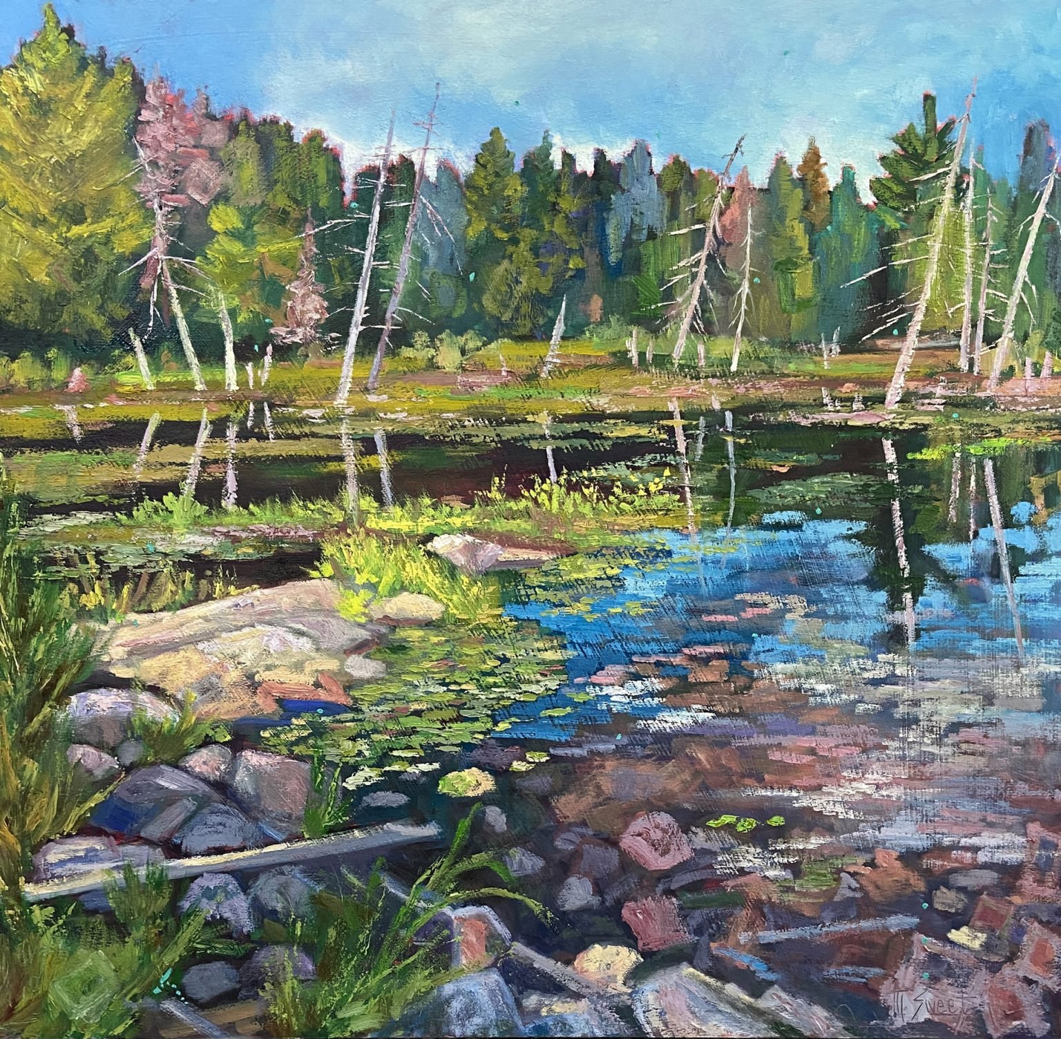 Exhibition Galleries - Society of Canadian Artists